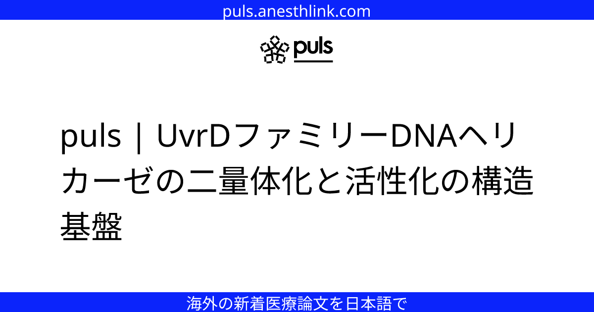 puls | UvrDファミリーDNAヘリカーゼの二量体化と活性化の構造基盤